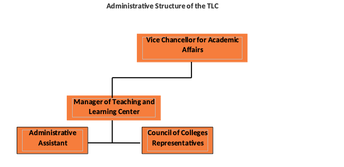 Teaching and Learning Center | Academics